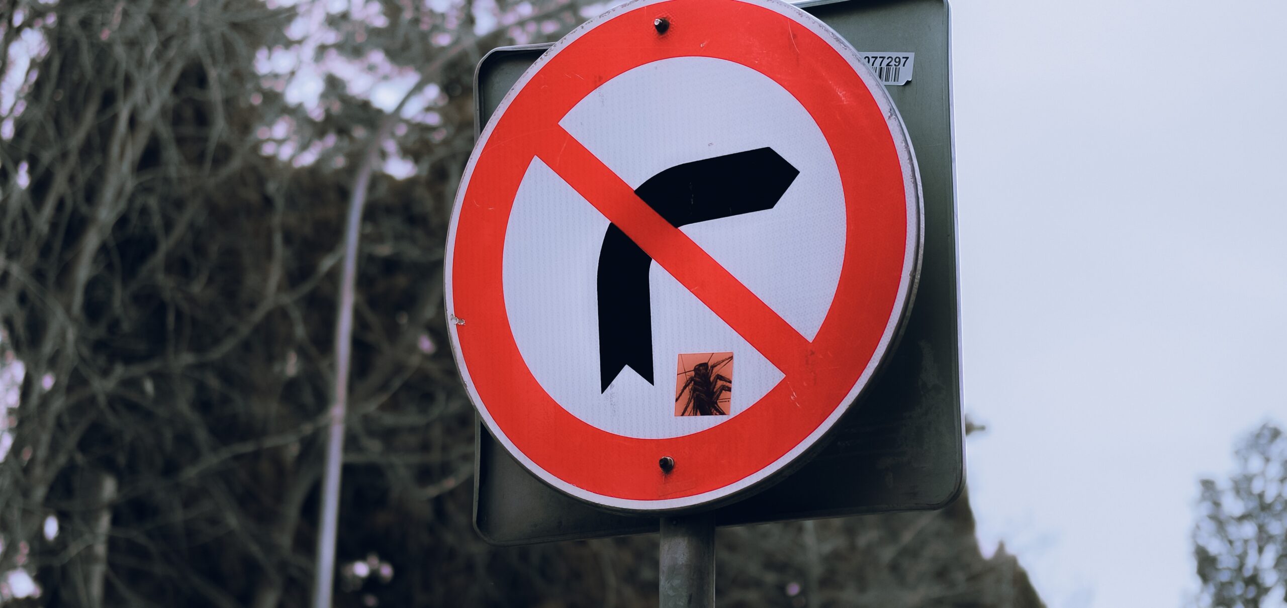 Sie Wollen Bei Grun Nach Links Abbiegen